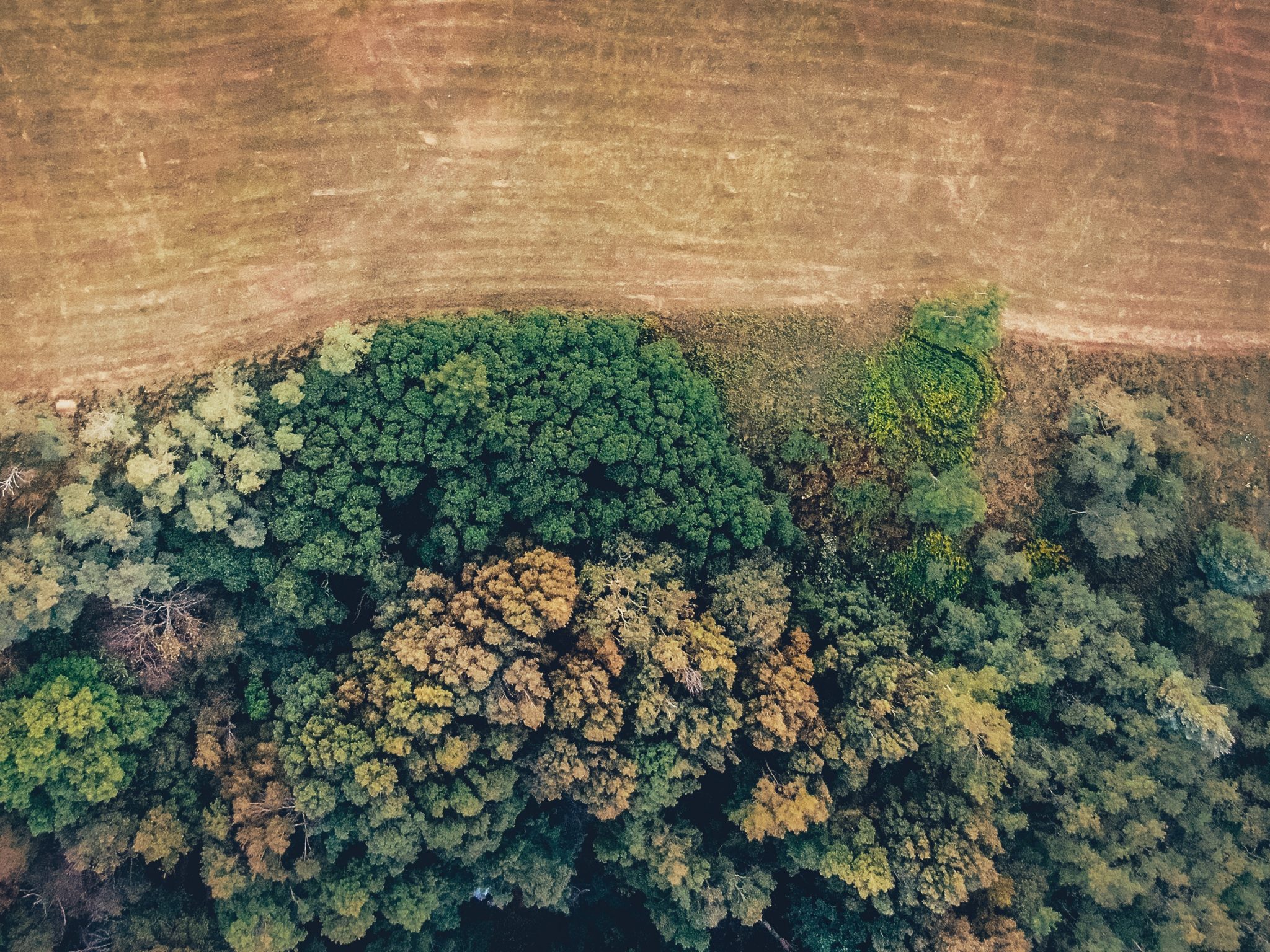 Environmental Baseline Assessment - LEVNER